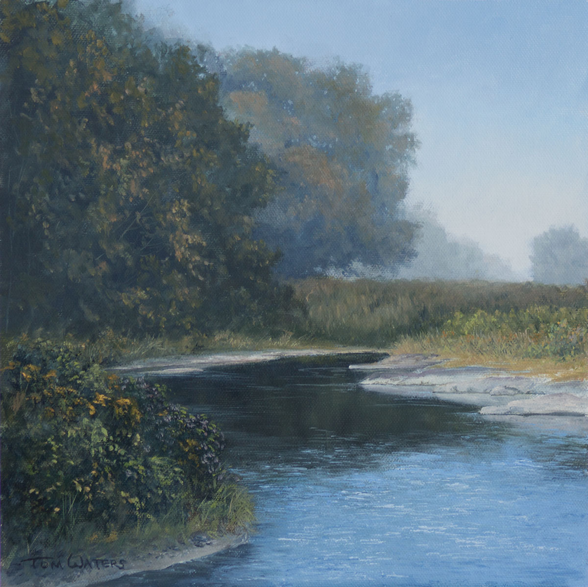Artist Tom Waters - Creative Waters Art